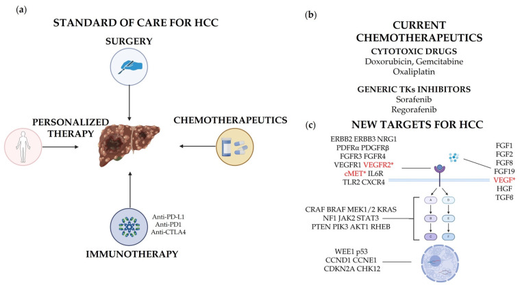 Hepatocellular Carcinoma: Old and Emerging Therapeutic Targets - Liver ...